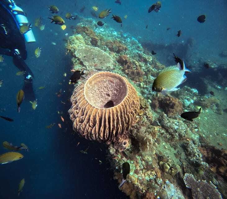 Tulamben Liberty Wreck 3 dives daytrip from South Bali - FAQs About the Tulamben Liberty Wreck Daytrip