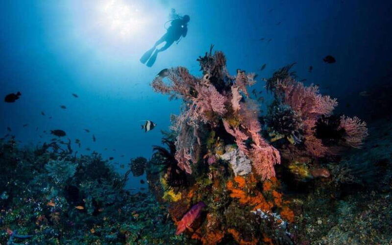 Tulamben: Underwater Paradise Scuba Diving Experience - Key Points