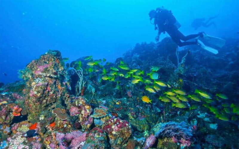 Tulamben: Underwater Paradise Scuba Diving Experience - What Makes This Tour Stand Out?