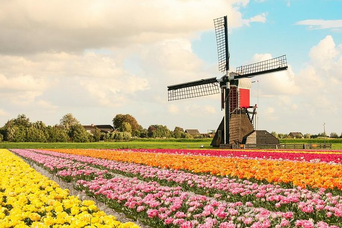 Tulip Experience and Keukenhof Flower Gardens Tour from Amsterdam - Authentic Experiences and Practical Tips