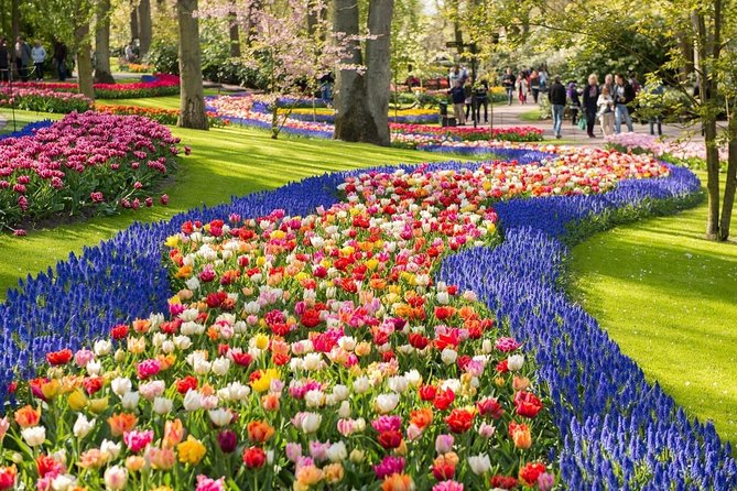 Tulip Experience and Keukenhof Flower Gardens Tour from Amsterdam - Who Will Love This Tour?