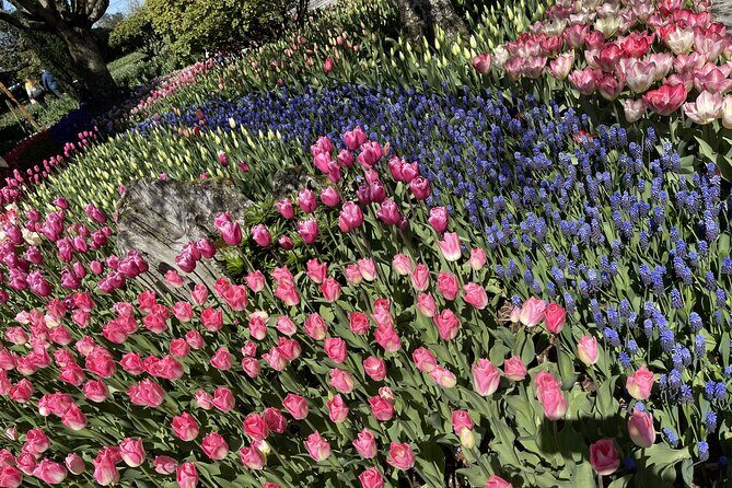 Tulip Festival in Skagit Valley Tour from Seattle - A Closer Look at the Itinerary