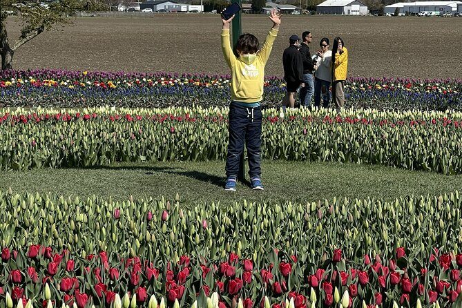 Tulip Festival in Skagit Valley Tour from Seattle - Overall Value and Suitability