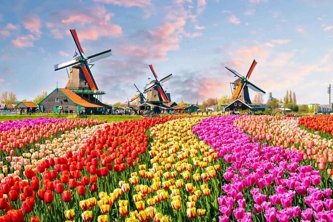 Tulip Paradise: Keukenhof Half-Day Private Tour - The Experience Worth the Price