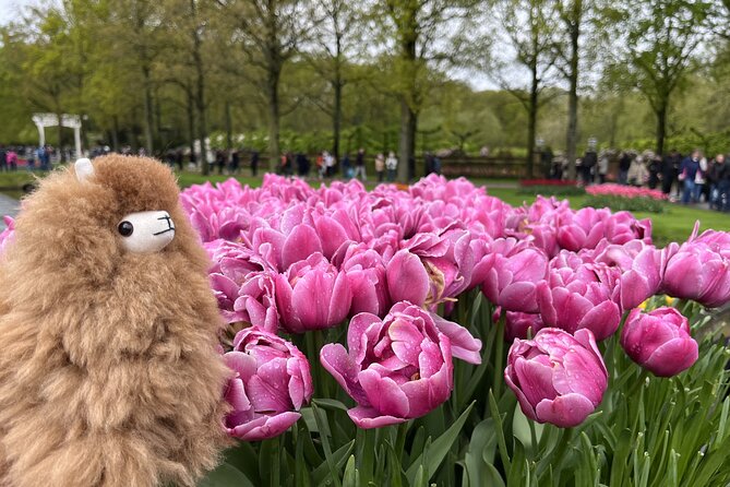 Tulip Paradise: Keukenhof Half-Day Private Tour - Why This Tour Stands Out