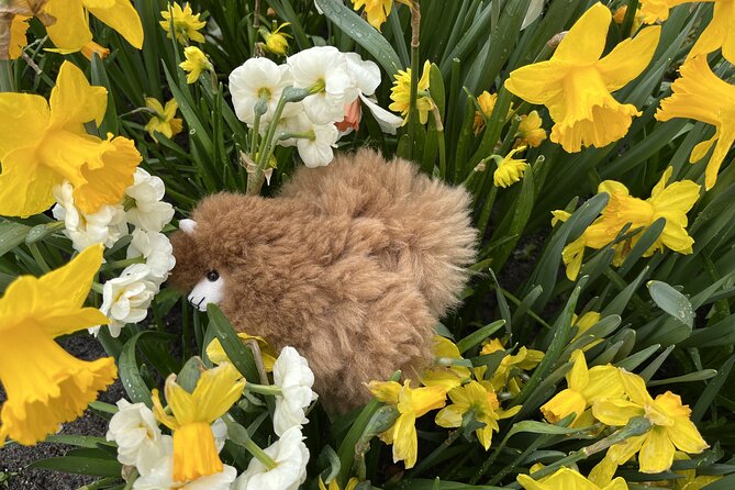 Tulip Paradise: Keukenhof Half-Day Private Tour - Final Thoughts