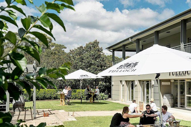 Tulloch Wines- Tasting of 6 Pokolbin Dry Red Shiraz Vintages with Charcuterie - A Closer Look at the Tulloch Experience