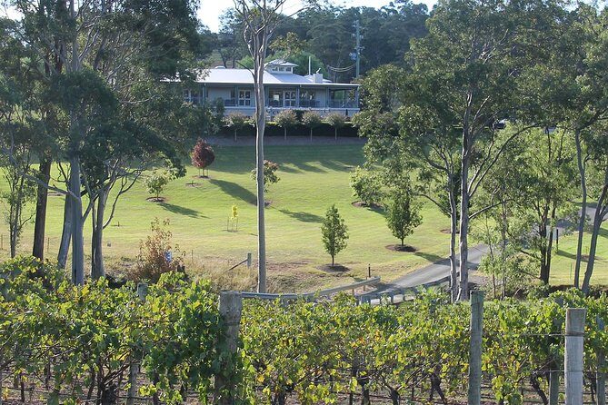Tulloch Wines- Tasting of 6 Pokolbin Dry Red Shiraz Vintages with Charcuterie - Final Thoughts: Who Will Love This Tour?