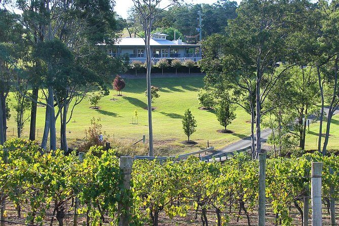 Tulloch Wines - Wine Tasting paired with Local Handmade Chocolates - Why This Tour Works Well