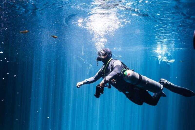 Tulum: 2 Dives in Chac Mool Cenote - Key Points