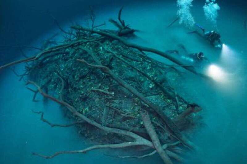 Tulum: 2 Dives in Chac Mool Cenote - The Logistics: From Pickup to Return