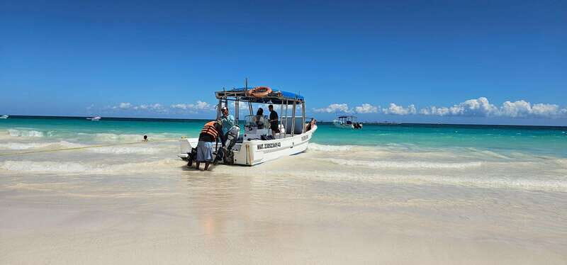 Tulum: 2-Hour Snorkeling in Two Spots of Tulum's Reef - The Sum Up