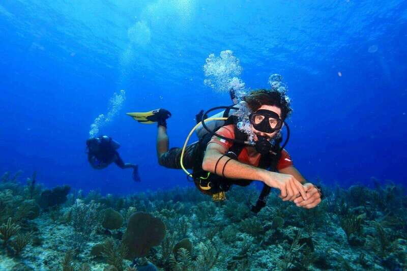Tulum: 2 Tank Reef Diving - Tulum: 2 Tank Reef Diving — An Authentic Underwater Experience