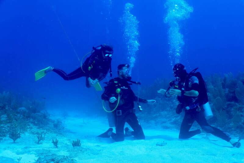 Tulum: 2 Tank Reef Diving - Price and Value Analysis