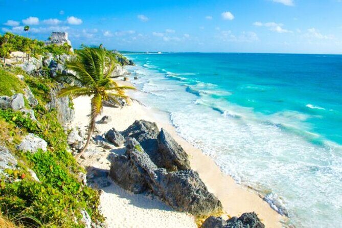 Tulum 4 Cenotes at home Turtle and Sculpture Mother Nature - Exploring the Tour Itinerary in Detail