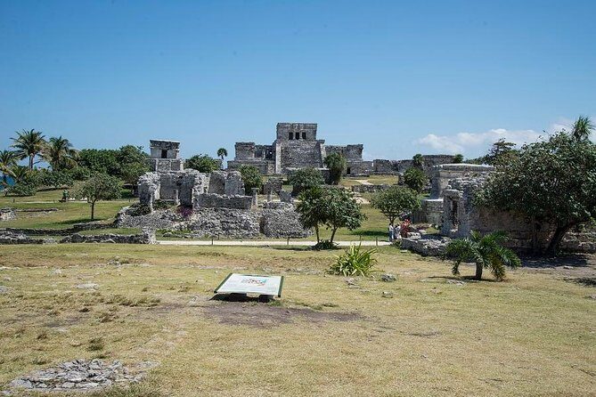 Tulum and Turtles Experience - Who Will Love This Tour?