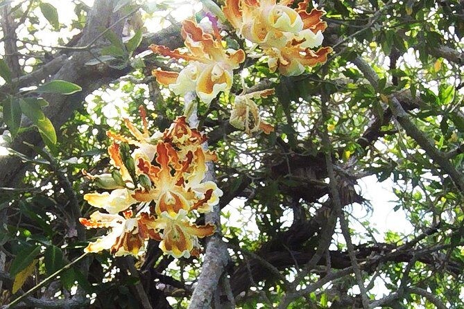 Tulum Archaeological Site & Sian Ka'an Muyil Tour from Tulum - Who Will Enjoy This Tour?