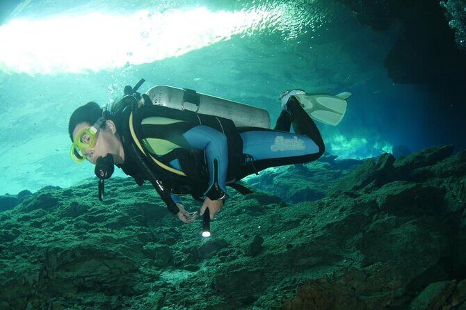Tulum Area Experiences Guided 2 Tank Scuba Dive Casa Cenote & Barrier Reef-Lunch - An In-Depth Look at the Tour Experience