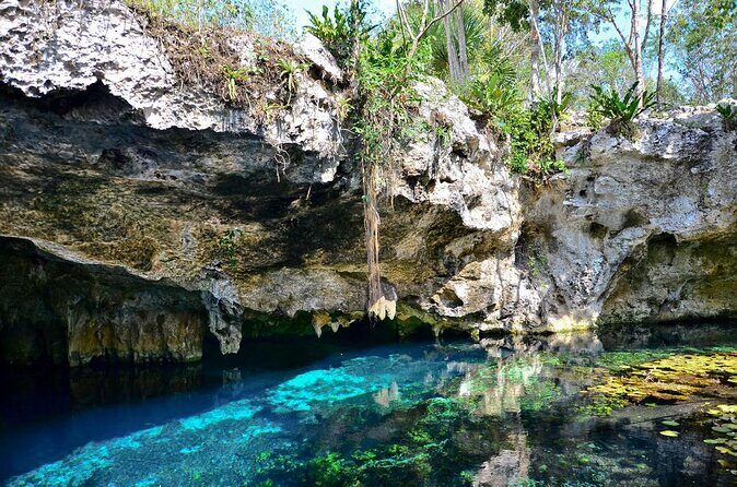 Tulum Area Experiences Guided E-Bike Tour- 3 Cenote's Snorkel/Swim & Local Lunch - Key Points