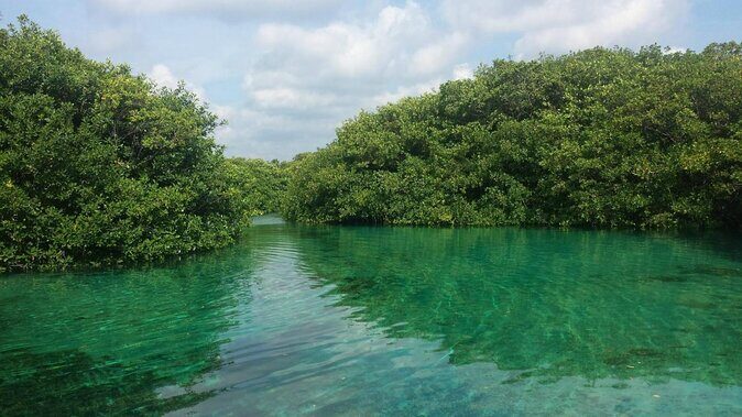 Tulum Area Experiences Guided Snorkeling Tour - Casa Cenote + Ocean Reef & Lunch - Key Points