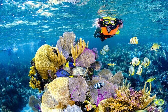 Tulum Area Experiences Guided Snorkeling Tour - Casa Cenote + Ocean Reef & Lunch - The Experience: What You Can Expect