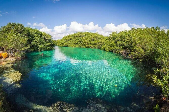 Tulum Area Experiences Guided Snorkeling Tour - Casa Cenote + Ocean Reef & Lunch - What the Reviews Say