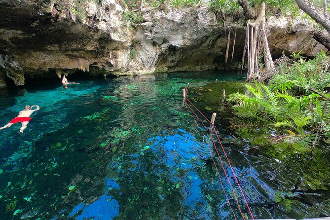 Tulum Area Guided Scooter Tour to 3 Cenote's, Snorkel/Swim & Local Lunch - The Experience in Detail