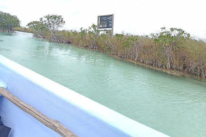 Tulum Boat Tour Sian kan muyil - An In-Depth Look at the Tulum Boat Tour Sian Kan Muyil