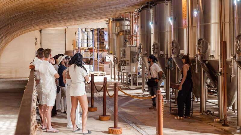 Tulum Brewery Tour and Brews & Bites - Introduction