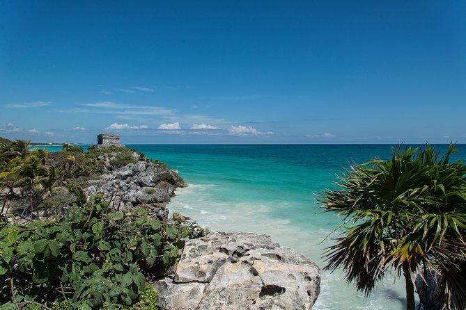 Tulum & Cenote Adventure - What to Expect with the Tour Experience