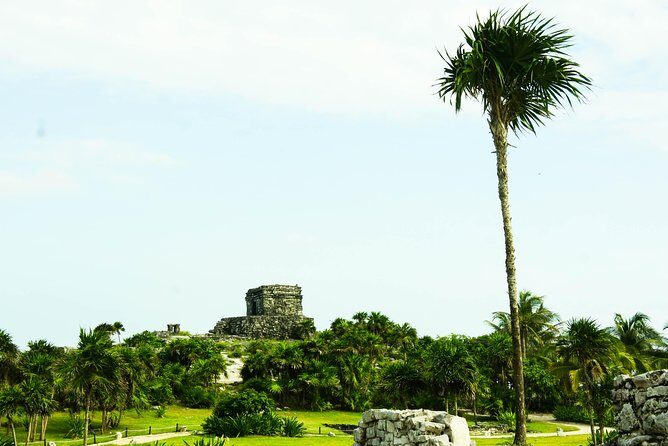 Tulum, Cenote and Playa del Carmen from Cancun - What Travelers Are Saying