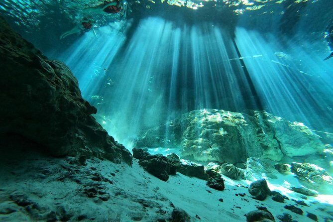 Tulum cenote diving. The ultimate experience in scuba - Who Will Love This Tour?