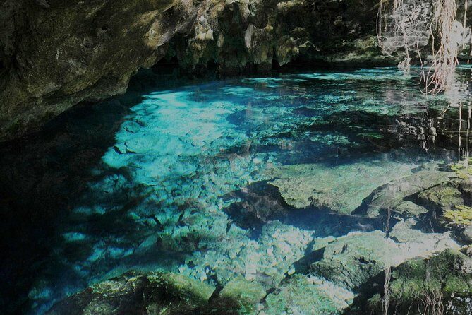 TULUM, CENOTE, MYSTIKA MUSEUM, TURTLES SNORKELING (Private) - Value and Pricing