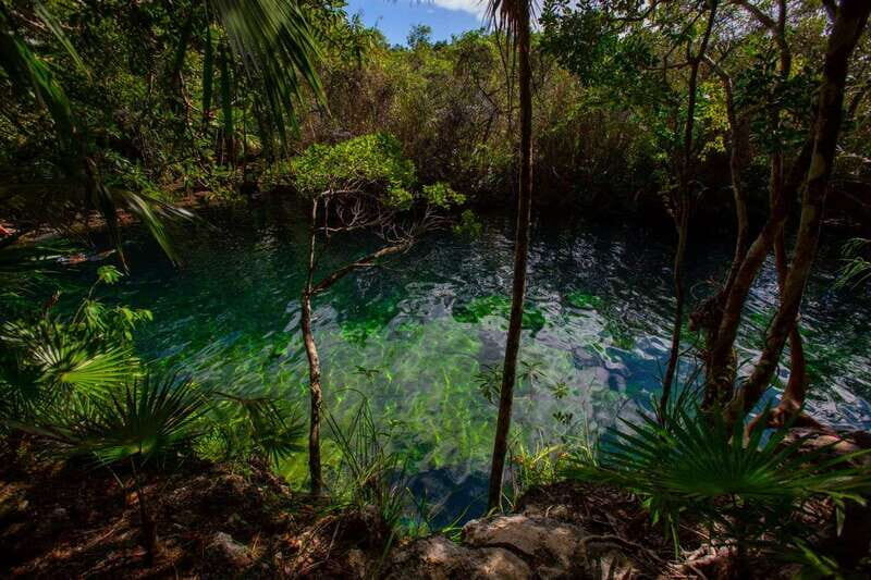 Tulum: Cenote Trail Bike Tour - Final Thoughts