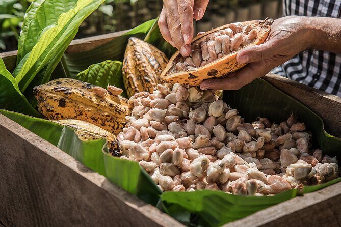 Tulum: Chocolate & Honey Sanctuary Experience with Cenote - FAQ