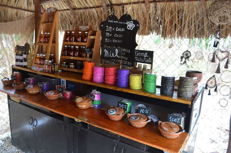 Tulum: Chocolate & Honey Sanctuary Experience with Lunch - Practical Tips for Travelers