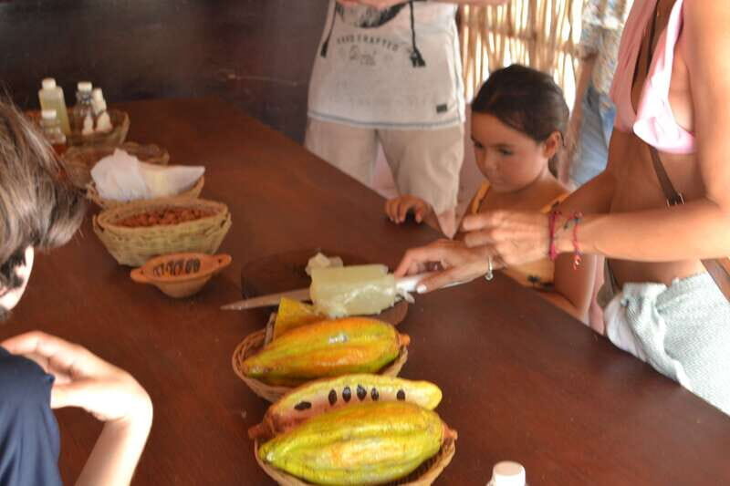 Tulum: Chocolate & Honey Sanctuary Experience with Lunch - Authenticity and Overall Experience
