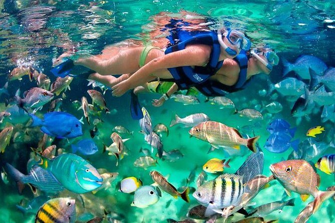 Tulum Coba Akumal Snorkel tour Premium Service Small Group - An In-Depth Look at the Tour Experience