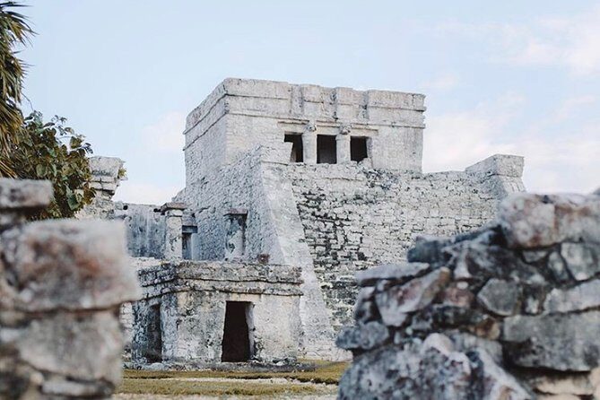 Tulum Coba cenote swim Playa del Carmen - A Deep Dive into the Experience