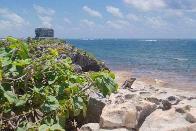 Tulum & Coba Private Tour - The Sum Up