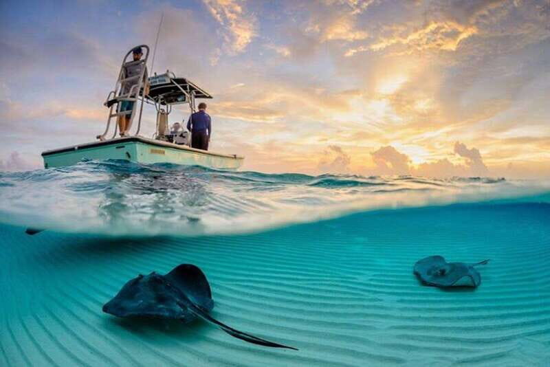 Tulum: Cozumel Cielo Snorkel Adventure from Cancun - Who Will Enjoy This Tour?