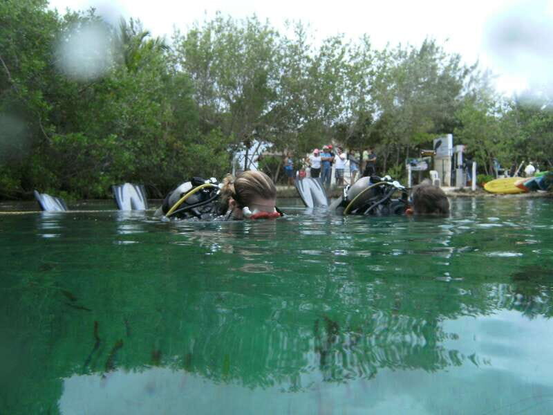 Tulum: Discover Scuba Diving in Cenotes - Key Points