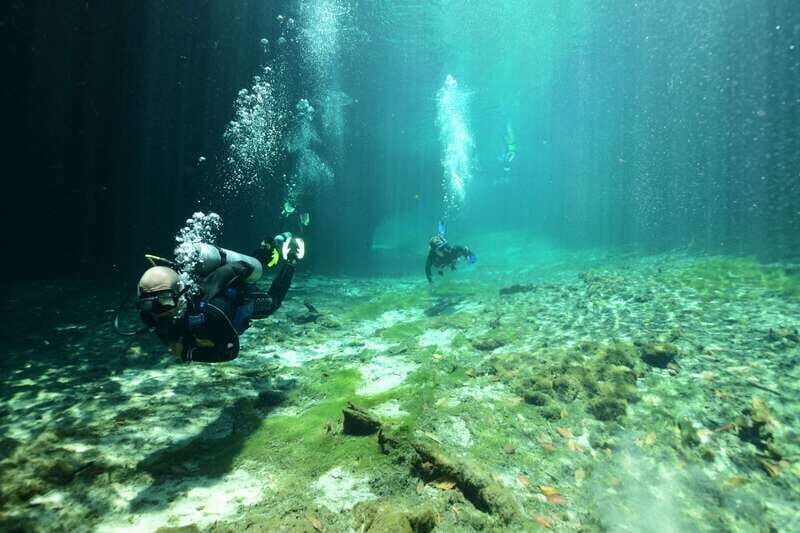 Tulum: Discover Scuba Diving in Cenotes - An In-Depth Look at the Tulum Cenotes Scuba Tour
