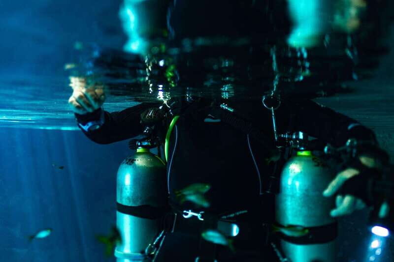 Tulum: Discover the Depths of Dos Ojos Cenote - Introduction to the Dos Ojos Cenote Experience