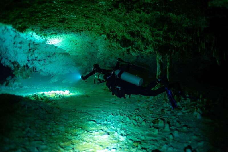 Tulum: Discover the Depths of Dos Ojos Cenote - The Sum Up
