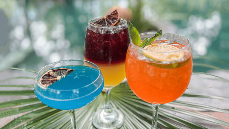 Tulum: Floating Breakfast in The Yellow Nest (Day Pass) - Practical Details and Value
