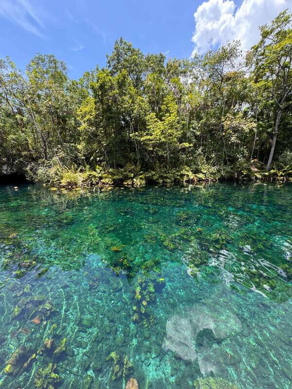Tulum: Guided Tour of Mayan Ruins and Coral Reef Swim - Transitioning to the Reef Swim