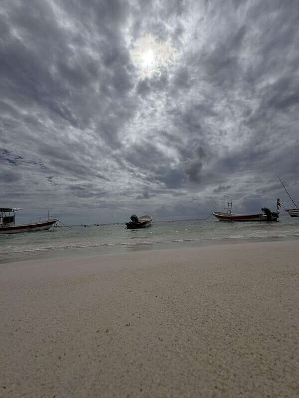 Tulum: Guided Tour of Mayan Ruins and Coral Reef Swim - The Experience Provider: Rosalia Private Tours