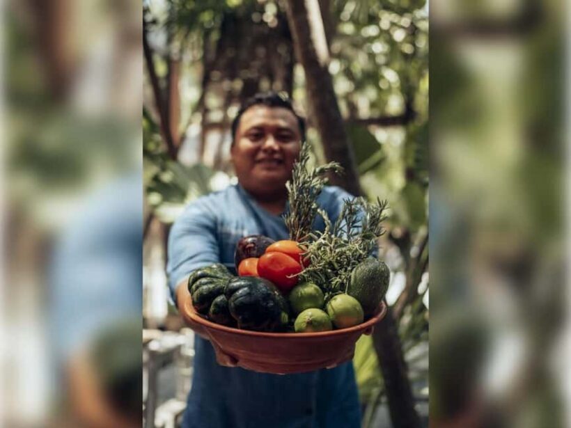 Tulum: Hands-On Mexican Cooking Class - The Value of the Experience