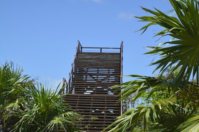 TULUM Jaguar Park Day Pass - A Closer Look at the TULUM Jaguar Park Day Pass